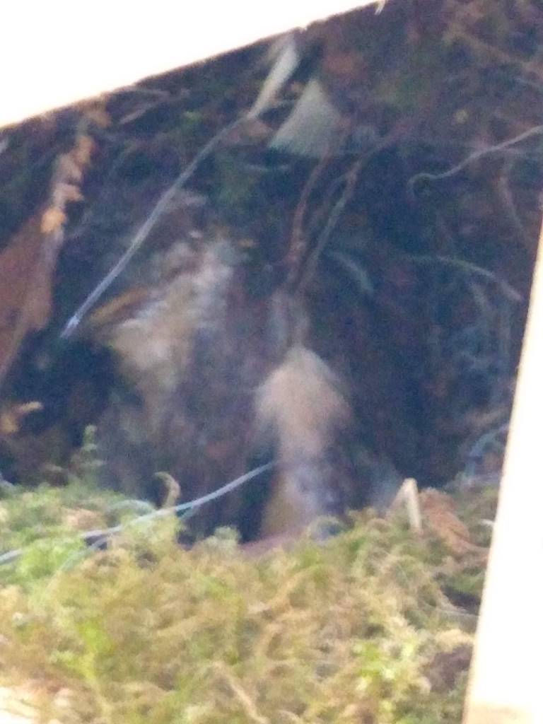 Sad news. :( | KRISTI PETERSEN SCHOONOVER